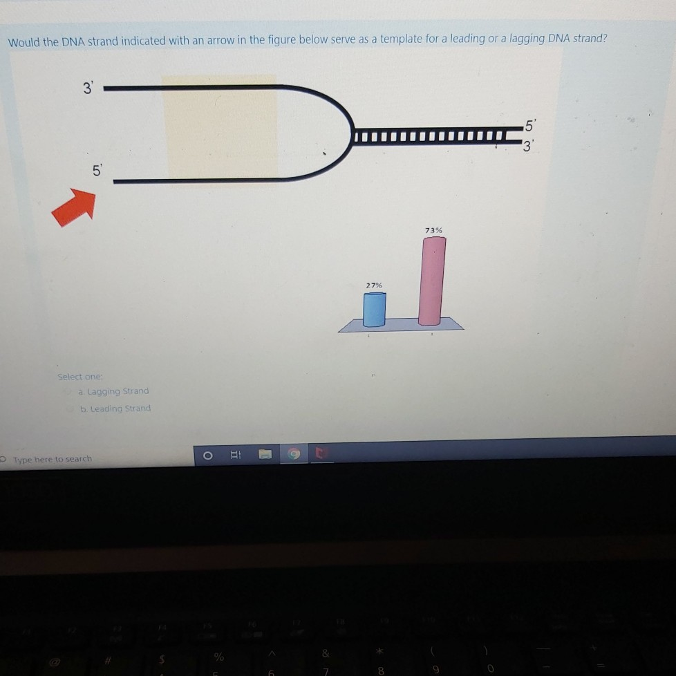 Solved Would the DNA strand indicated with an arrow in the | Chegg.com