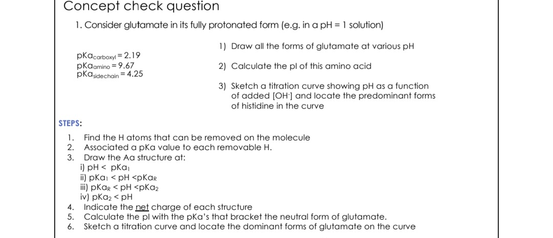 Solved Concept check questionConsider glutamate in its fully | Chegg.com