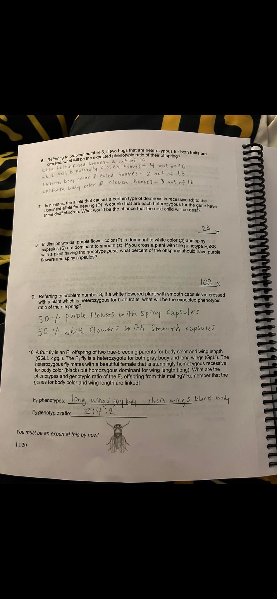 Solved Hi I need some help to go through these questions and | Chegg.com