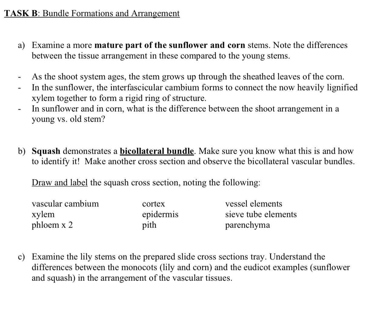 Solved TASK B: Bundle Formations and Arrangementa) ﻿Examine | Chegg.com