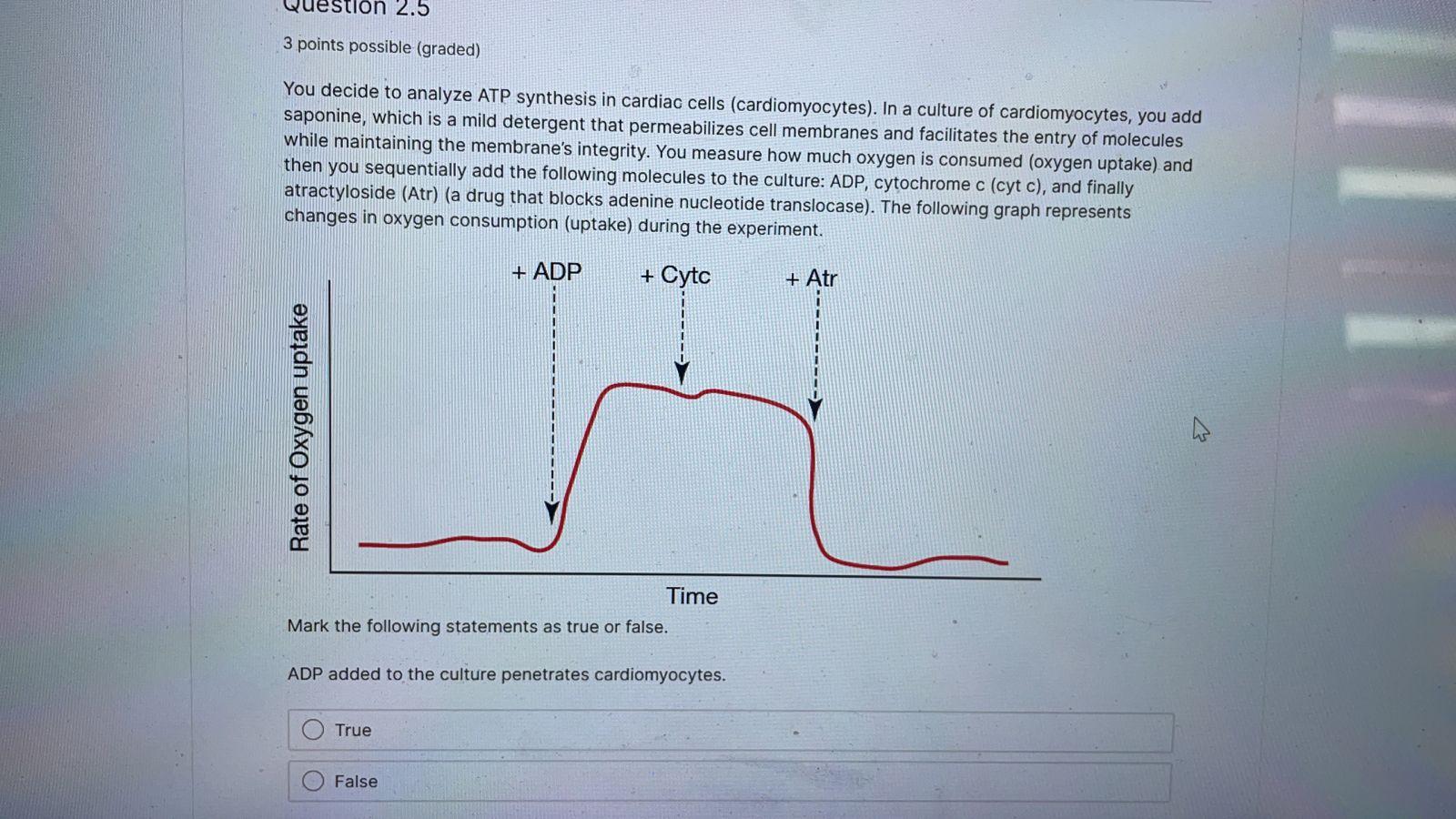 Solved on 2.5 3 points possible (graded) You decide to | Chegg.com