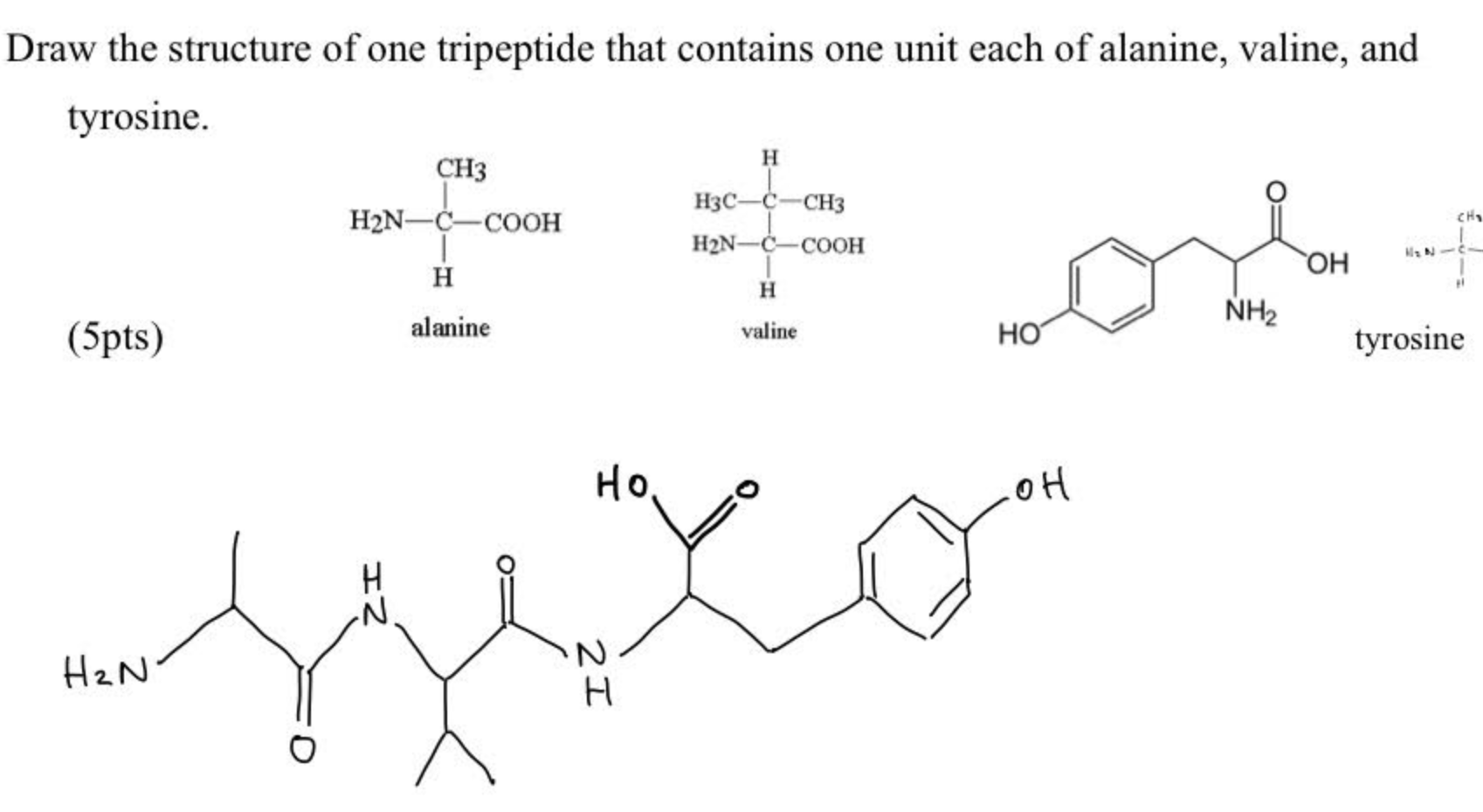 Solved Draw the structure of one tripeptide that contains | Chegg.com