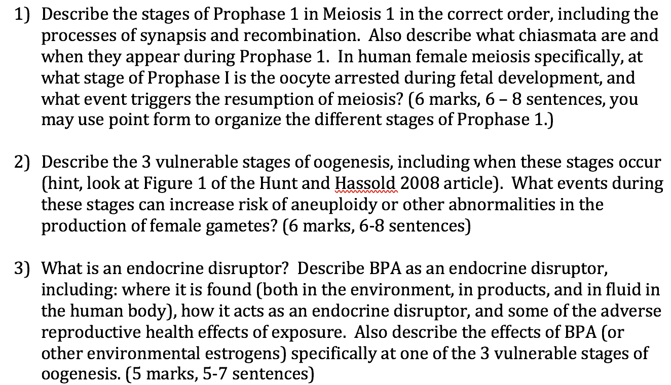 Solved 1) Describe the stages of Prophase 1 in Meiosis 1 in | Chegg.com