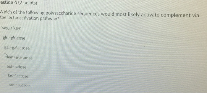 Solved estion 4 (2 points) which of the following | Chegg.com Solved estion 4 (2 points) which of the following | Chegg.com