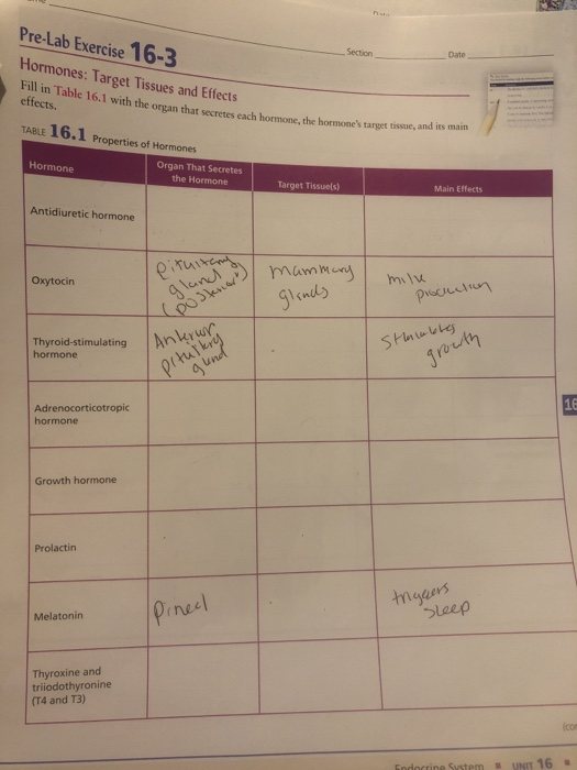Solved Pre-Lab Exercise 16-3 Section Date Hormones: Target | Chegg.com