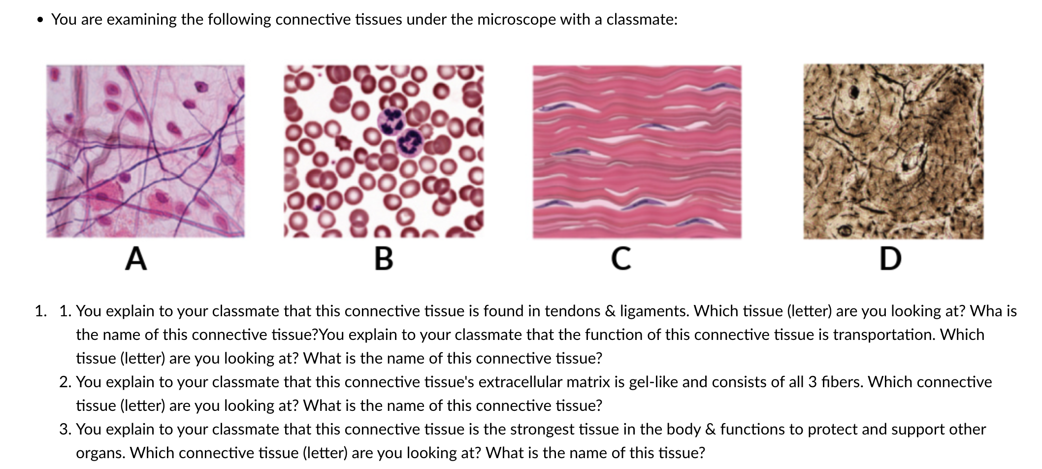 Solved You are examining the following connective tissues | Chegg.com