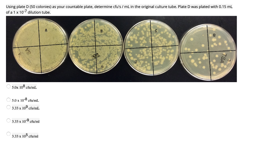 Solved Using plate D (50 colonies) as your countable plate, | Chegg.com