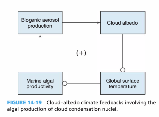 Solved Return to our Daisyworld analogy from Chapter | Chegg.com