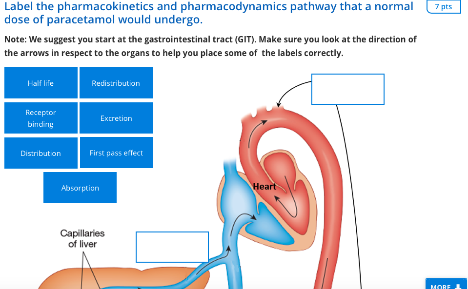 Solved 7 pts Label the pharmacokinetics and pharmacodynamics | Chegg.com
