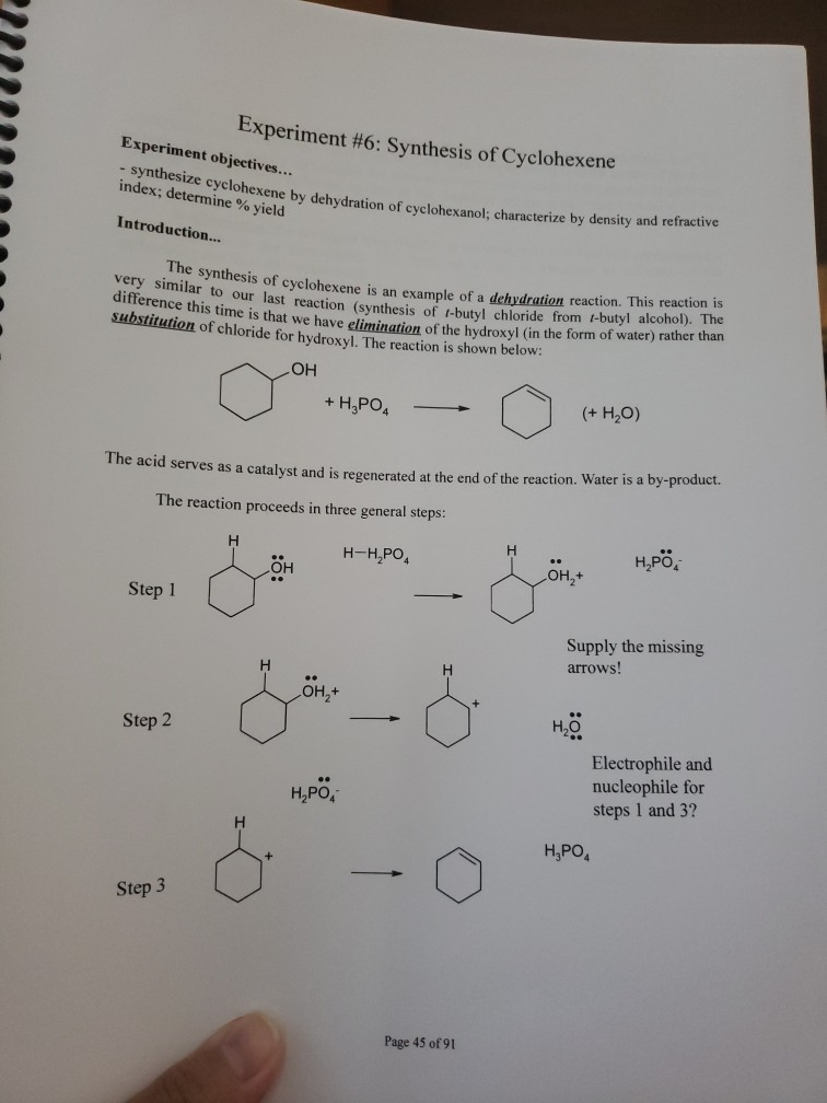 Solved Experiment #6: Synthesis of Cyclohexene Experiment | Chegg.com