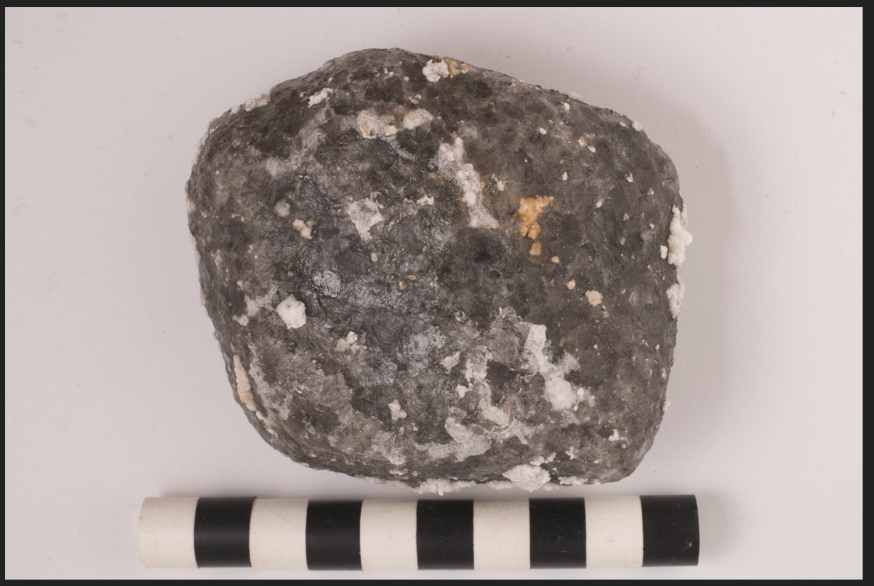 Solved Part 3 Other Chemical and Biogenic Sedimentary | Chegg.com