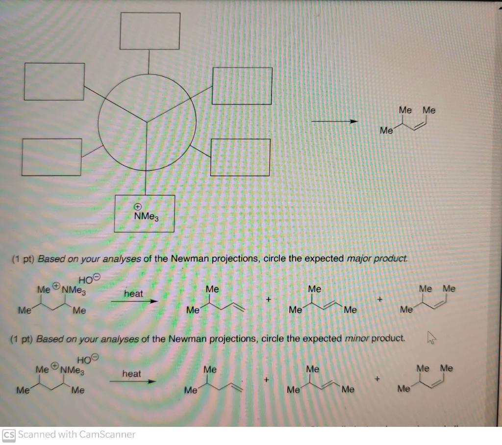 Solved 8 pts) Consider the following Hofmann elimination | Chegg.com