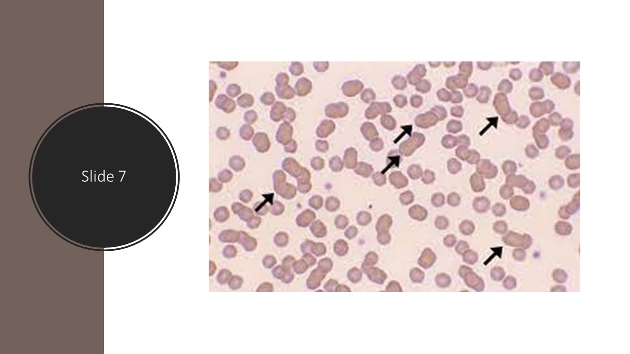 Solved For each of the slides :• Grade the following based | Chegg.com