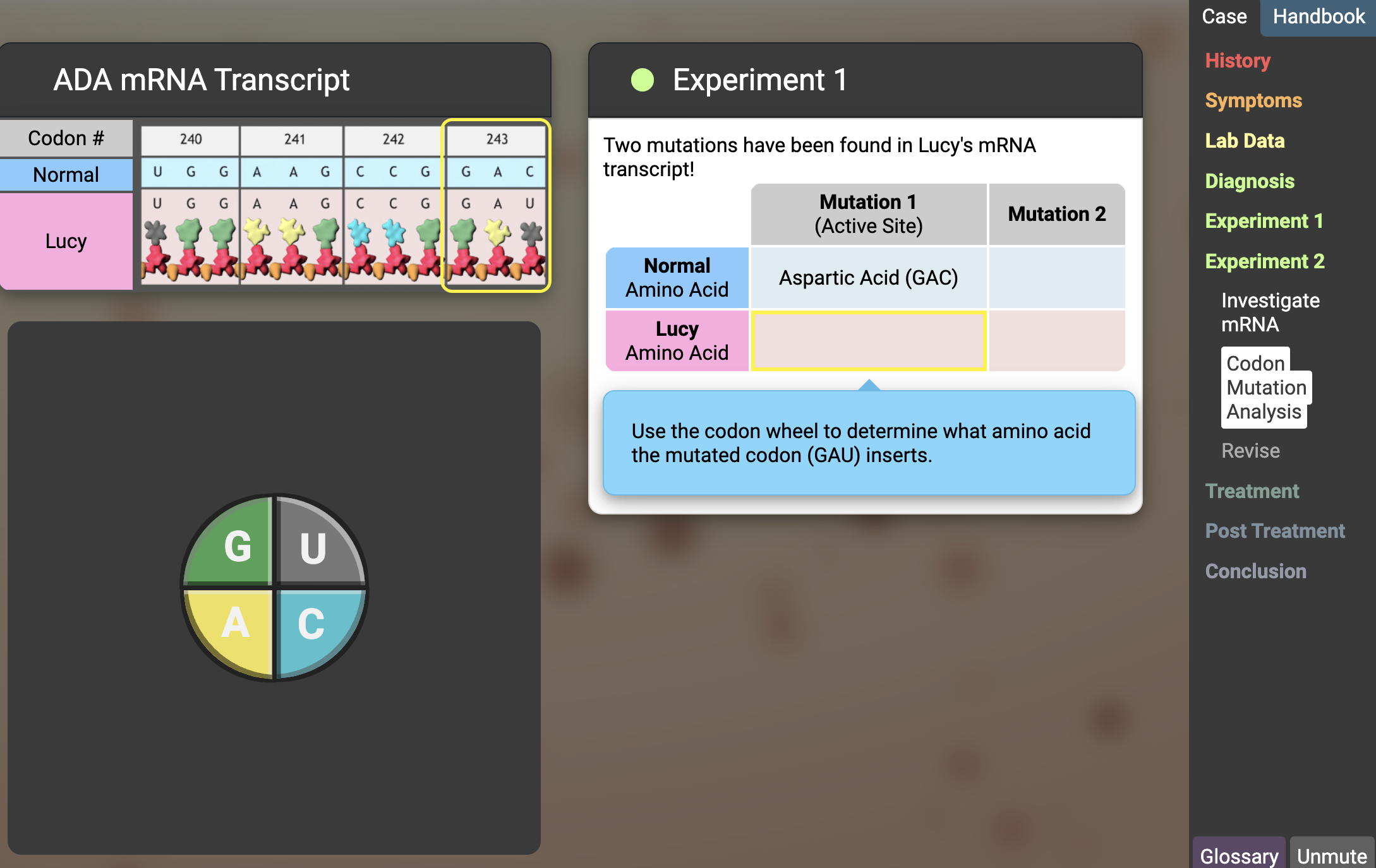 Solved Use the codon wheel to determine what amino acid the | Chegg.com