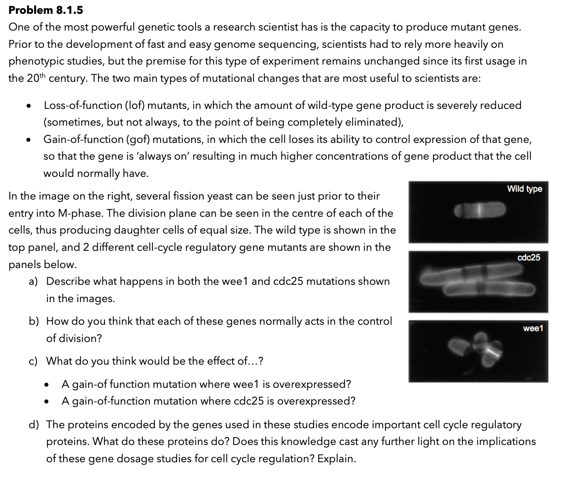 Solved Problem 8.1.5One of the most powerful genetic tools a | Chegg.com