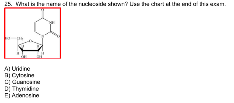 Solved 25. What is the name of the nucleoside shown? Use the | Chegg.com