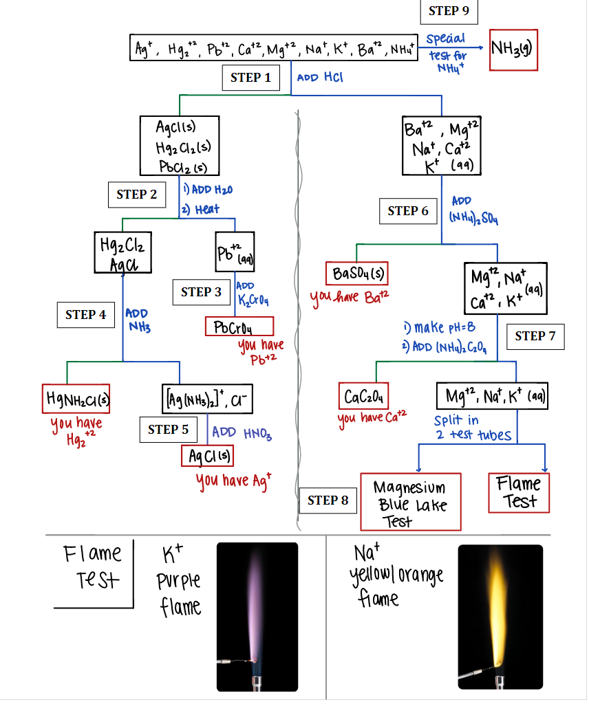 Solved use the flowchart below to solve for part IV, only do | Chegg.com
