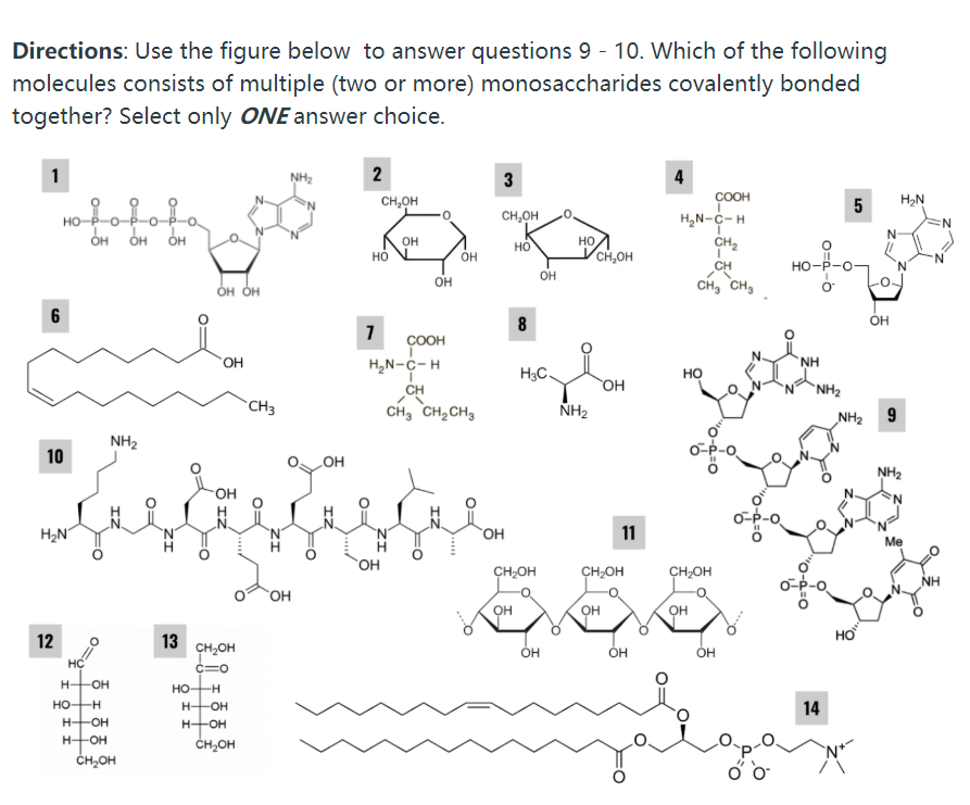 Solved Which of the following molecule(s) is/are classified | Chegg.com