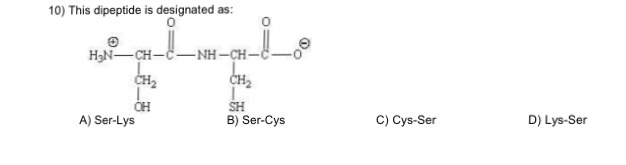 Solved This dipeptide is designated as: A) Ser-Lys B) | Chegg.com