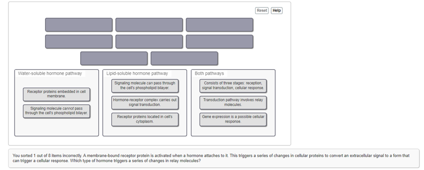 Hormones affect target cells using two main signaling | Chegg.com