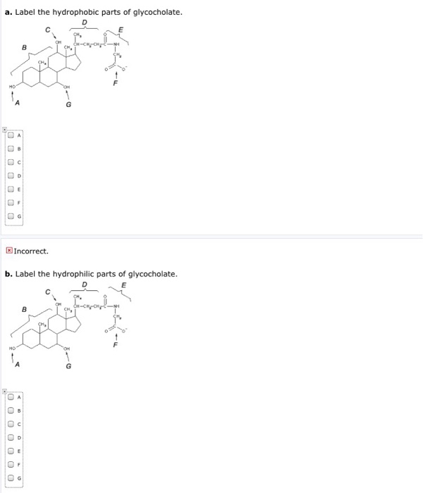 Solved a. Label the hydrophobic parts of glycocholate. A B | Chegg.com