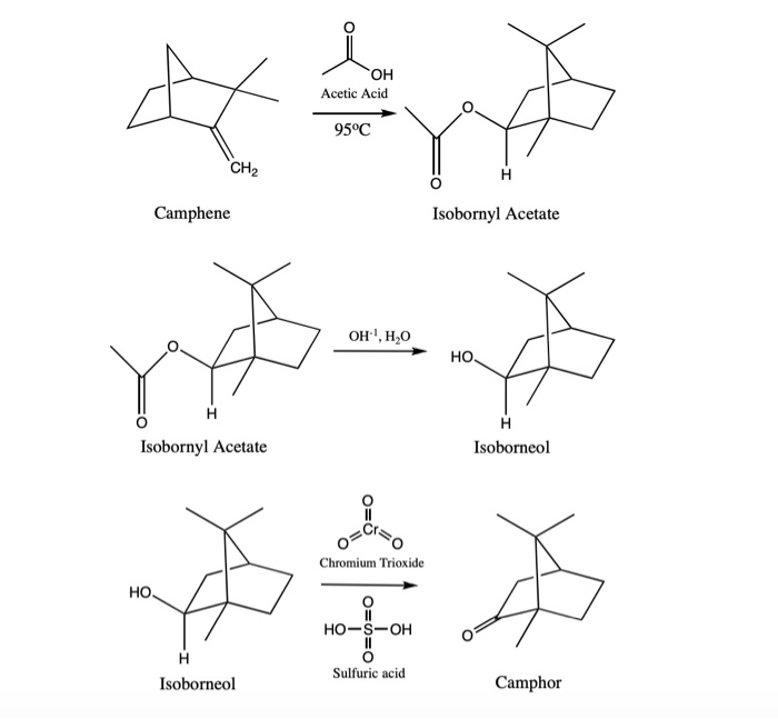 Solved The overall reaction of camphene to camphor is | Chegg.com