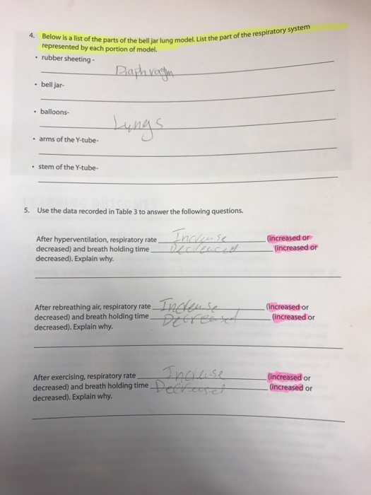 Below is a list of the parts of the bell jar model. | Chegg.com