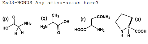 Solved Ex03-BONUS Any amino-acids here? CH3 (р) (q) (1) | Chegg.com