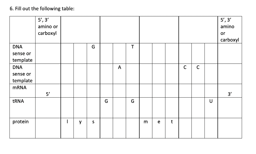 Solved 6. Fill out the following table: 5', 3 amino or | Chegg.com