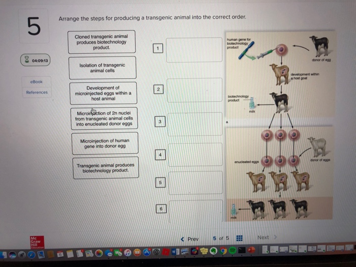Solved Arrange the steps for producing a transgenic animal | Chegg.com