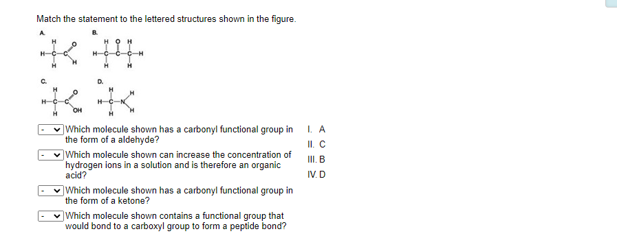 Solved Label the molecule shown. Your answer should be two | Chegg.com