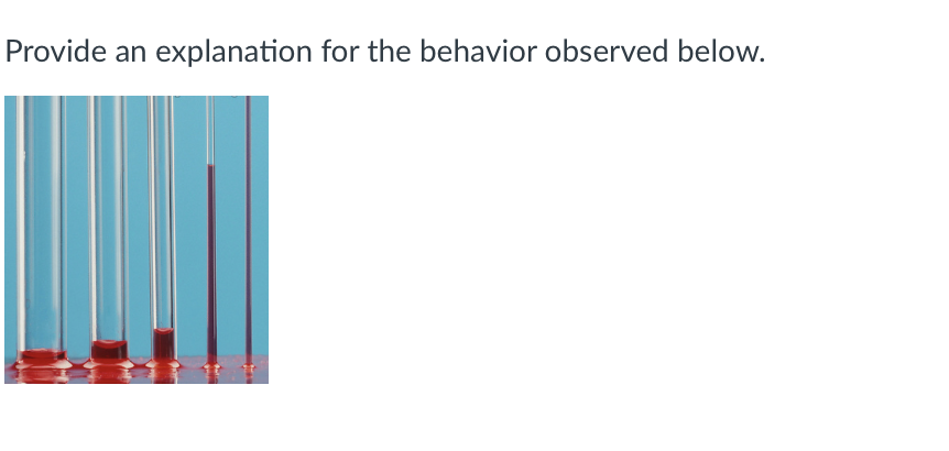 Solved Provide an explanation for the behavior observed | Chegg.com