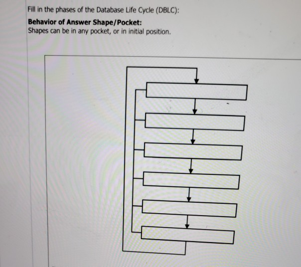 Solved Fill in the phases of the Database Life Cycle (DBLC): | Chegg.com