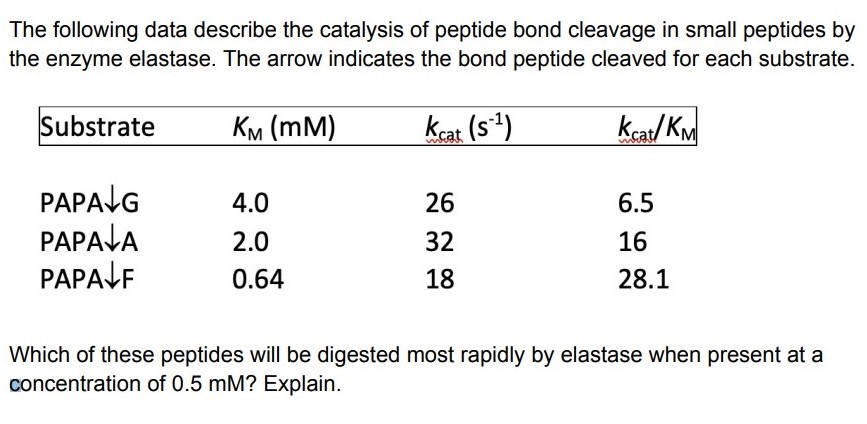 Solved The following data describe the catalysis of peptide | Chegg.com