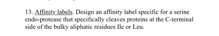 Solved 13. Affinity labels. Design an affinity label | Chegg.com