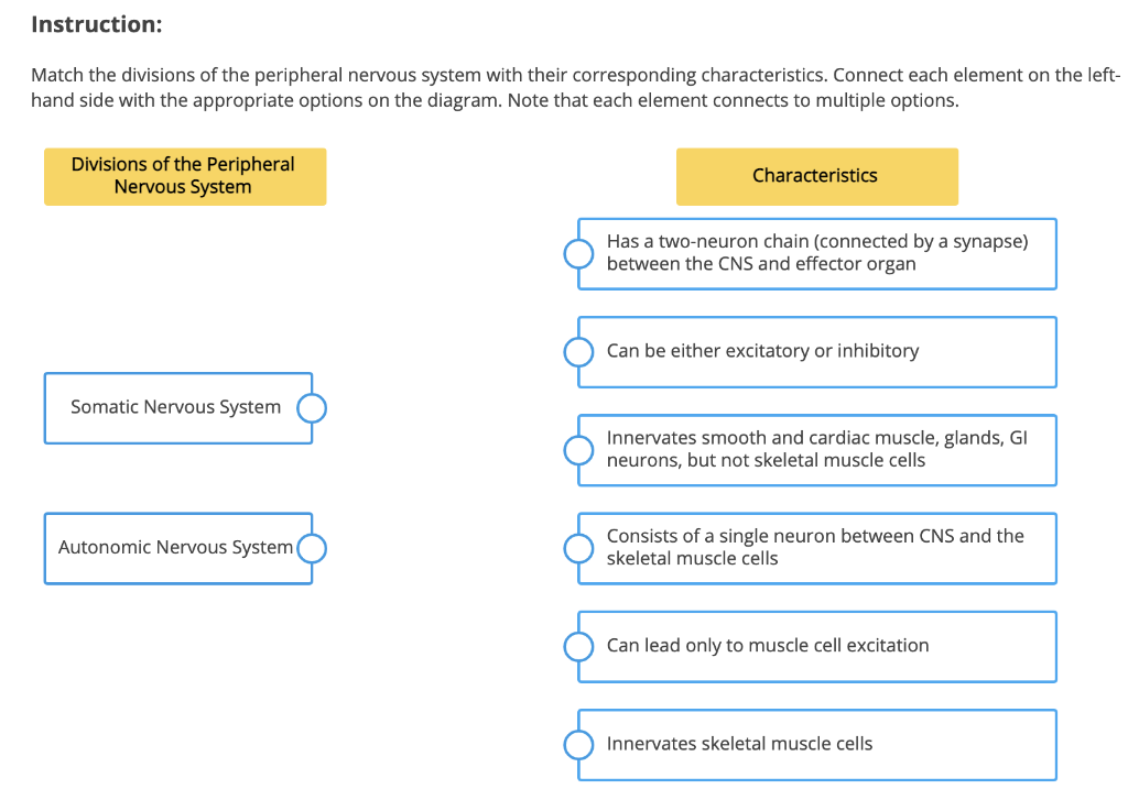 Solved Instruction: Match the divisions of the peripheral | Chegg.com