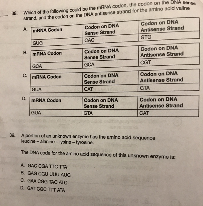 Solved Which of the following could be the mRNA codon, the | Chegg.com