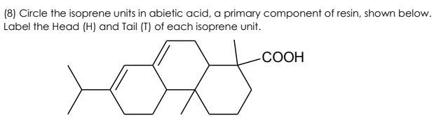 Solved Given the structure below, circle the isoprene units | Chegg.com