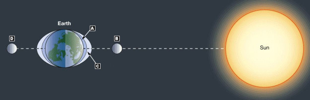 Solved The below orientation of the Sun, Earth, and Moon | Chegg.com