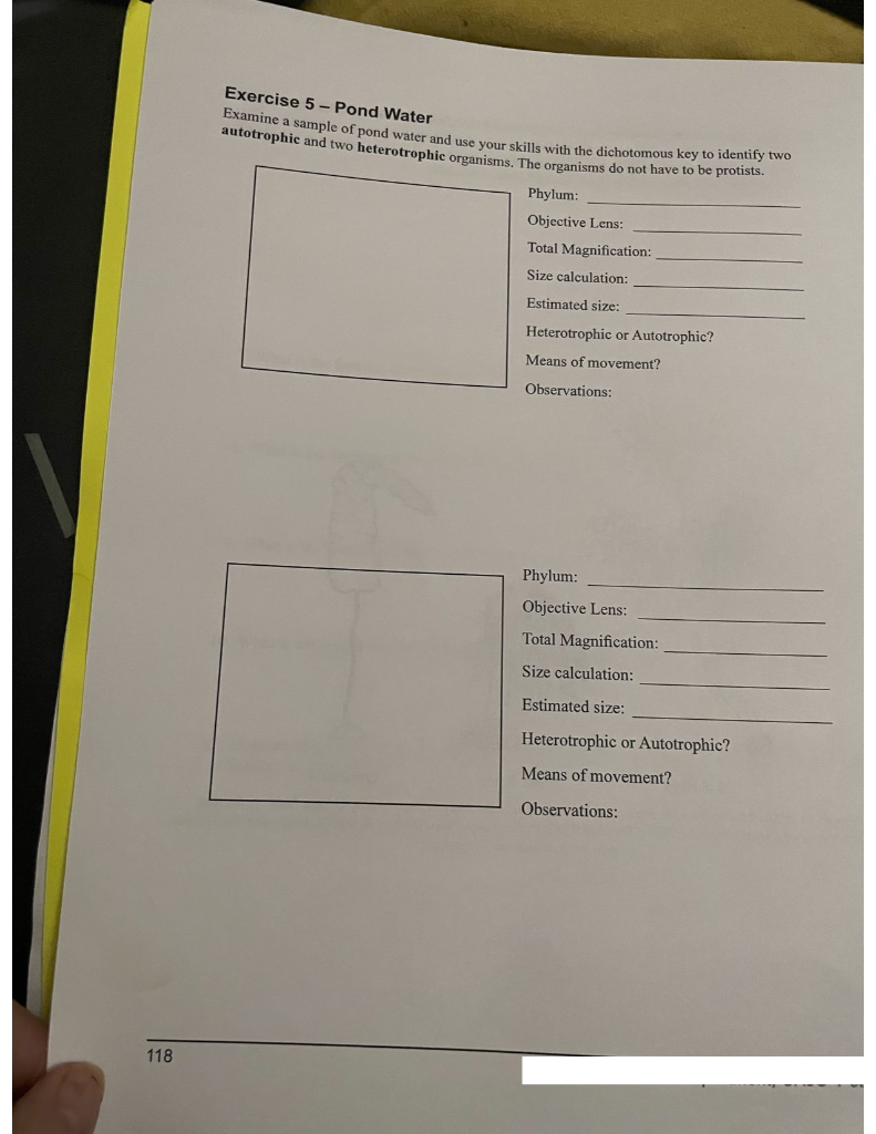 Solved Exercise 5 - Pond Water Examine a sample of pond | Chegg.com