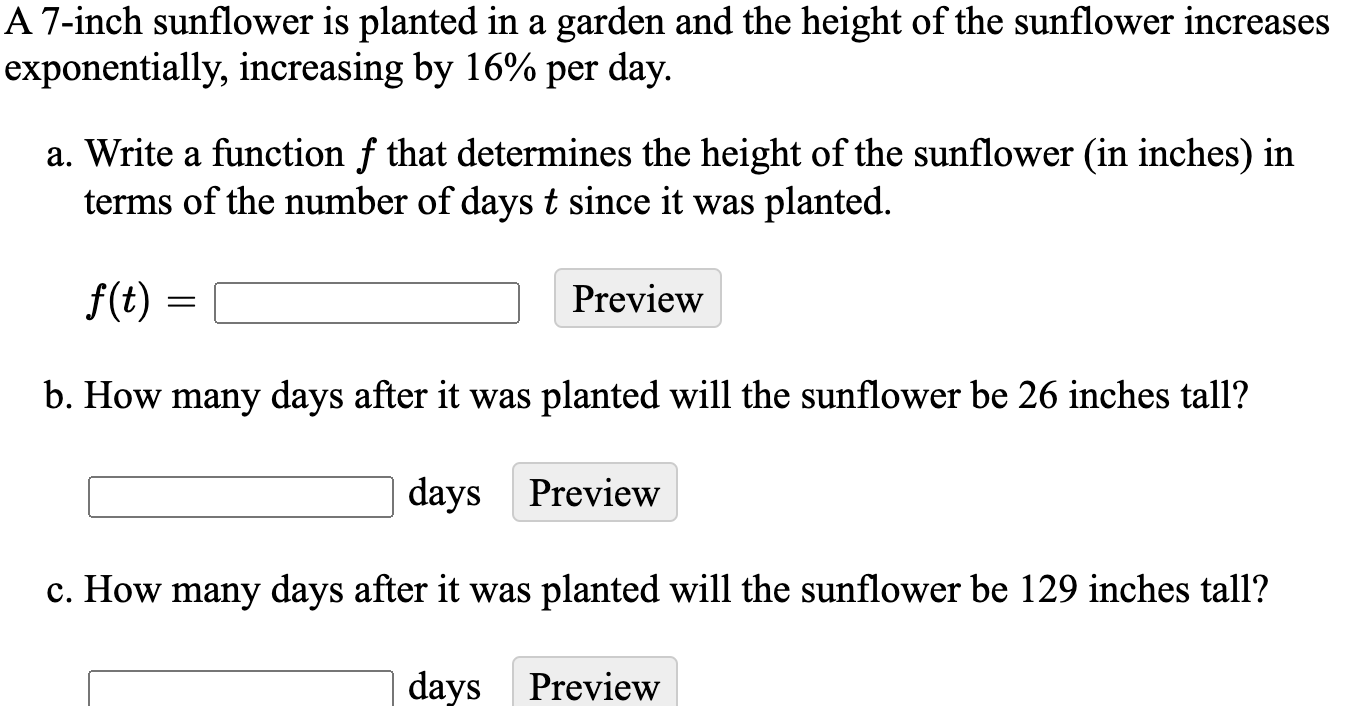 Solved A 7-inch sunflower is planted in a garden and the | Chegg.com