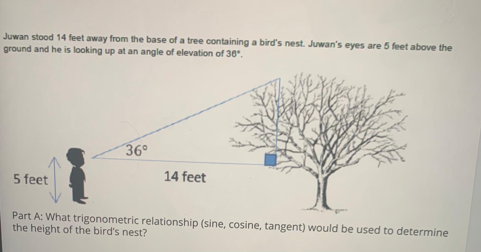 Solved Juwan stood 14 feet away from the base of a tree | Chegg.com