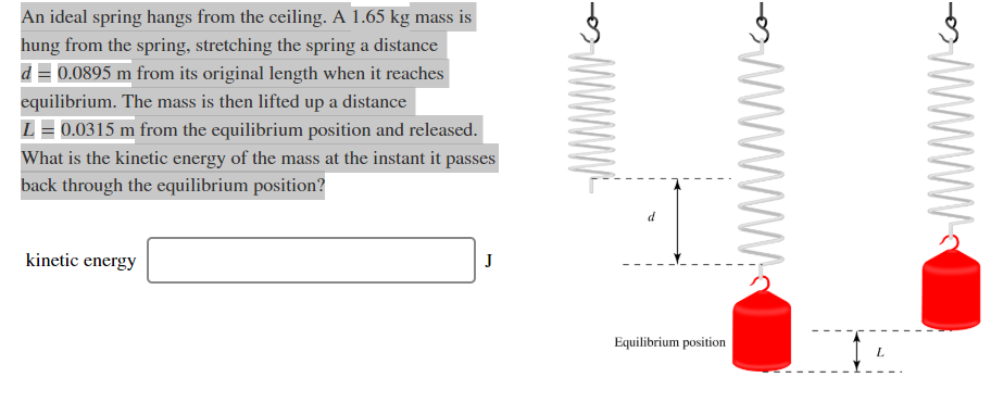 Solved An ideal spring hangs from the ceiling. A 1.65 kg | Chegg.com