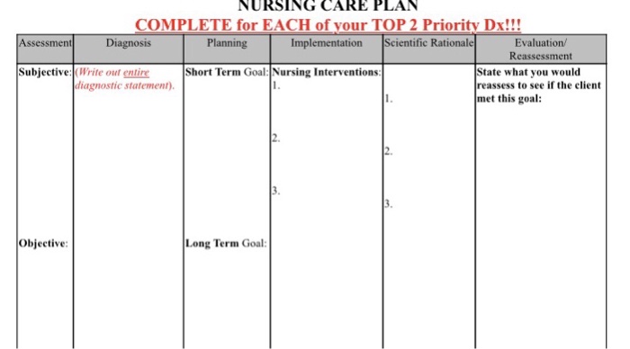 Patient Care Plan Template | PDF Template