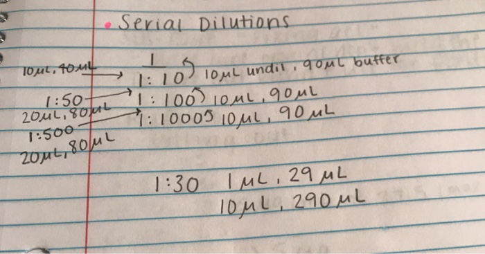 Solved Please explain how to get these answers for serial | Chegg.com