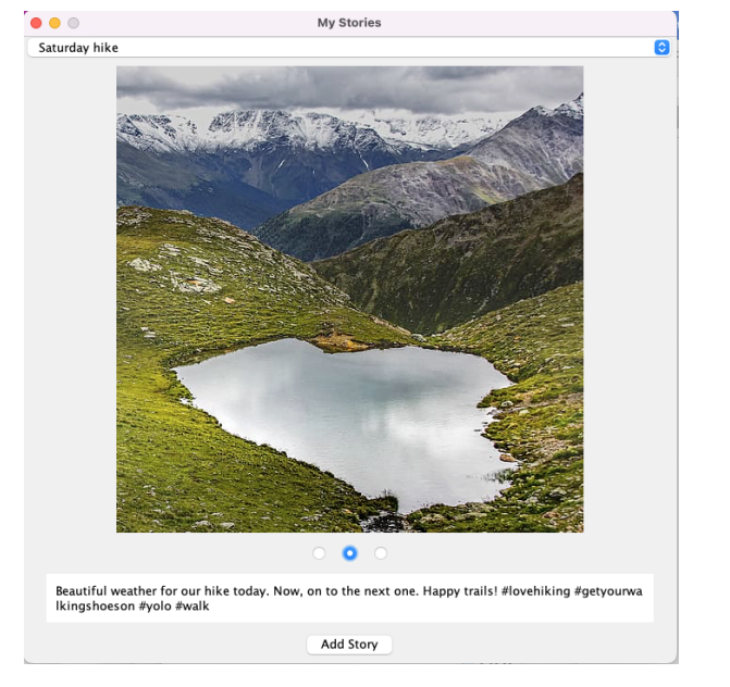 Solved Create an application that displays a GUI similar to | Chegg.com