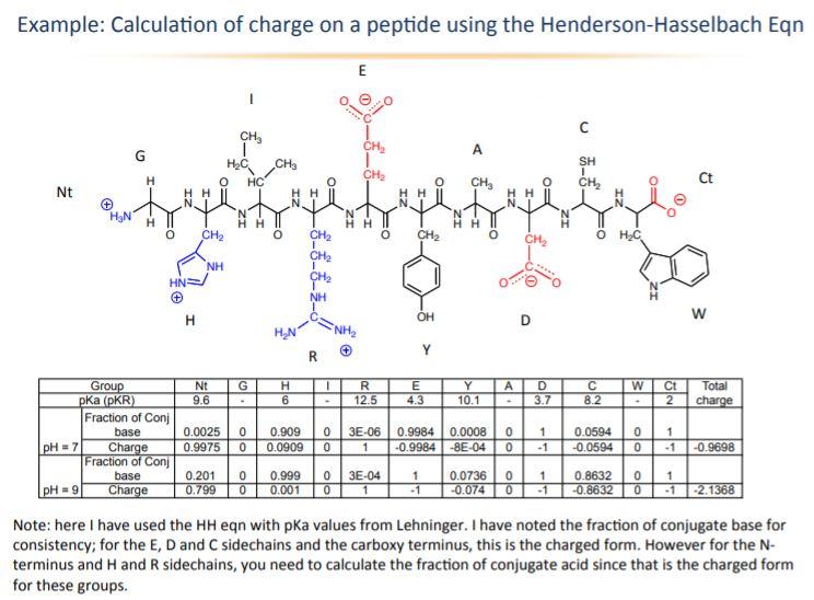 Example: Calculation of charge on a peptide using the | Chegg.com