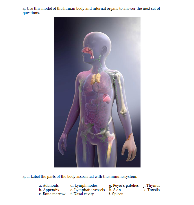 Solved STUDENT WORKSHEET Unit 1: Lesson 1 - Organs and | Chegg.com