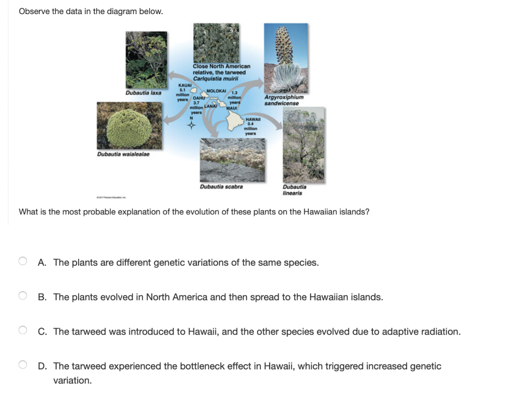 Solved Observe the data in the diagram below. 5.10 Dubautia | Chegg.com
