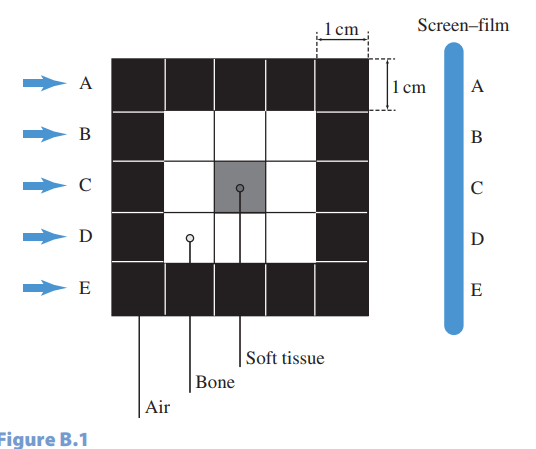 Solved A radiograph of a structure consisting of bone and | Chegg.com